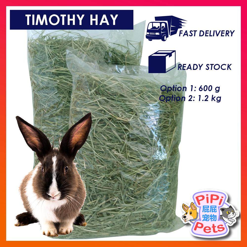 Premium 2nd Cut USA Timothy Hay (500 g / 1 kg) for Rabbits / Guinea ...