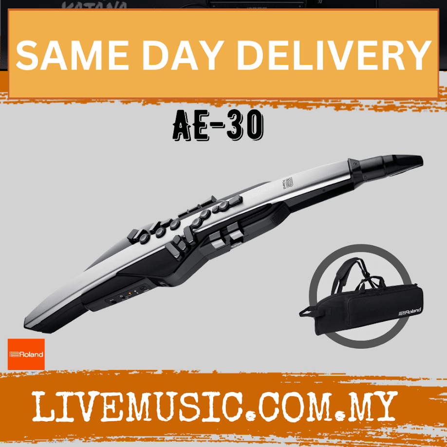 Roland Aerophone Pro AE-30 Digital Wind Instrument, Professional-Grade ...