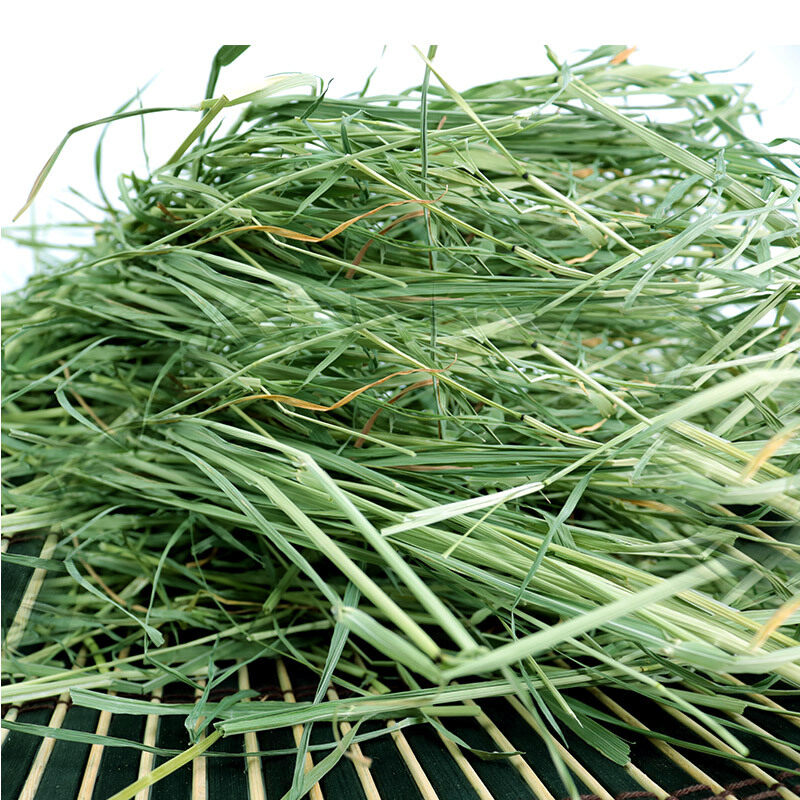 Dream1Bag USA Timothy Hay Rabbit Nutrient Forage Pet Chew Hay Feed For ...