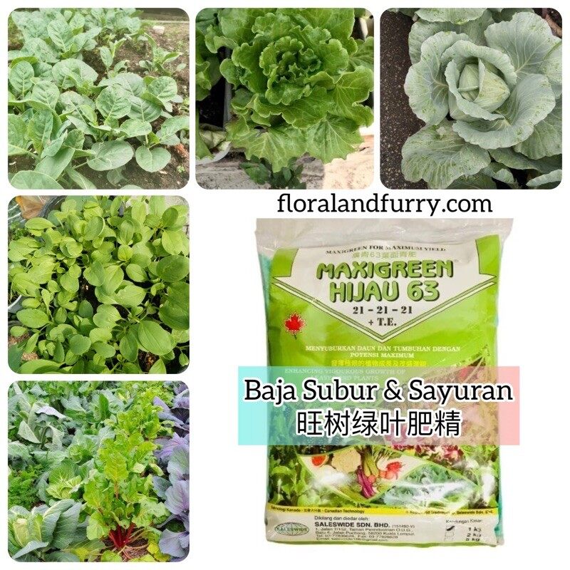 Maxigreen Hijau 63 1kg NPK 21 21 21 Baja Serbuk Foliar Super Subur ...