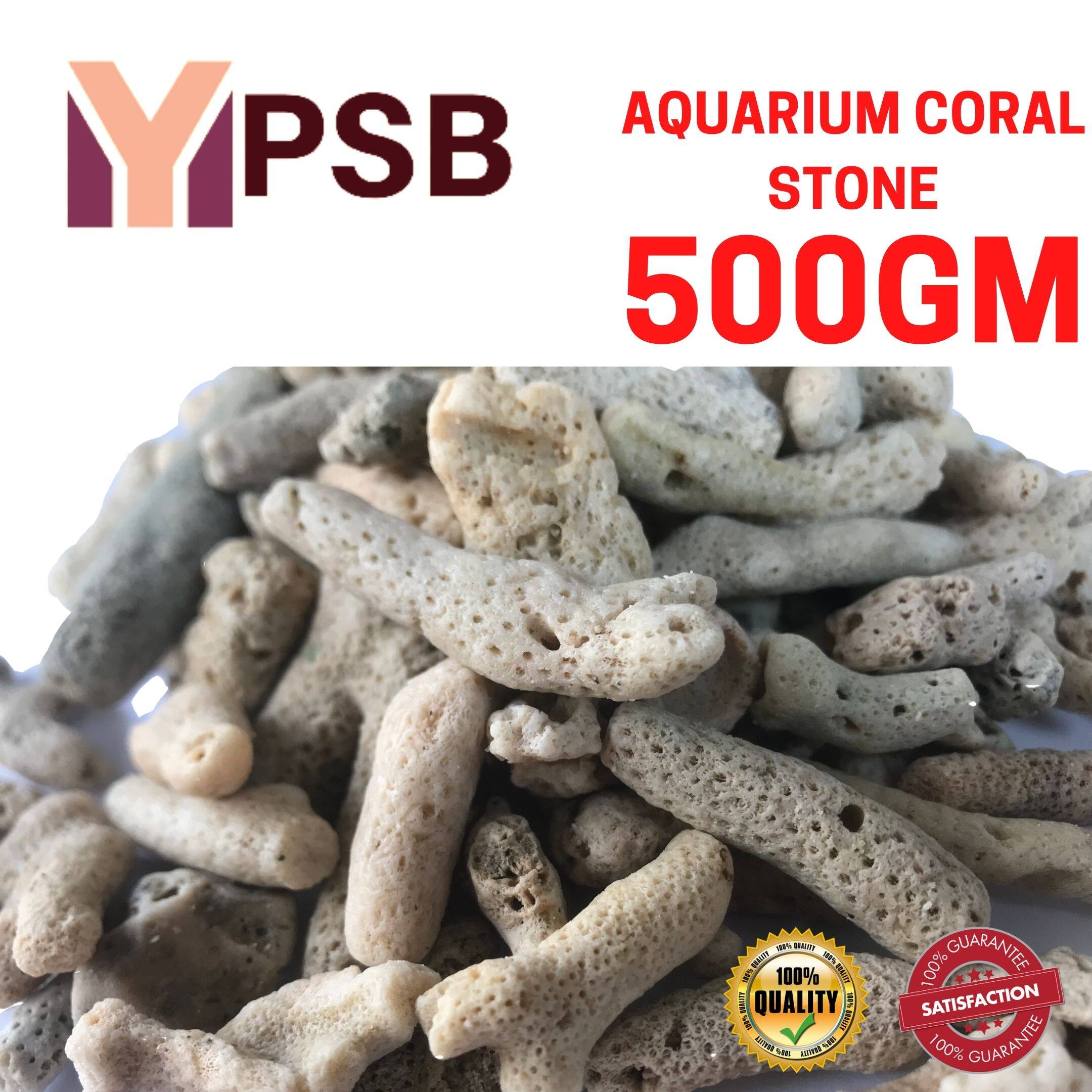 Batu Batu Karang Media Penapis Akuarium Tangki Ikan untuk Aquascaping ...