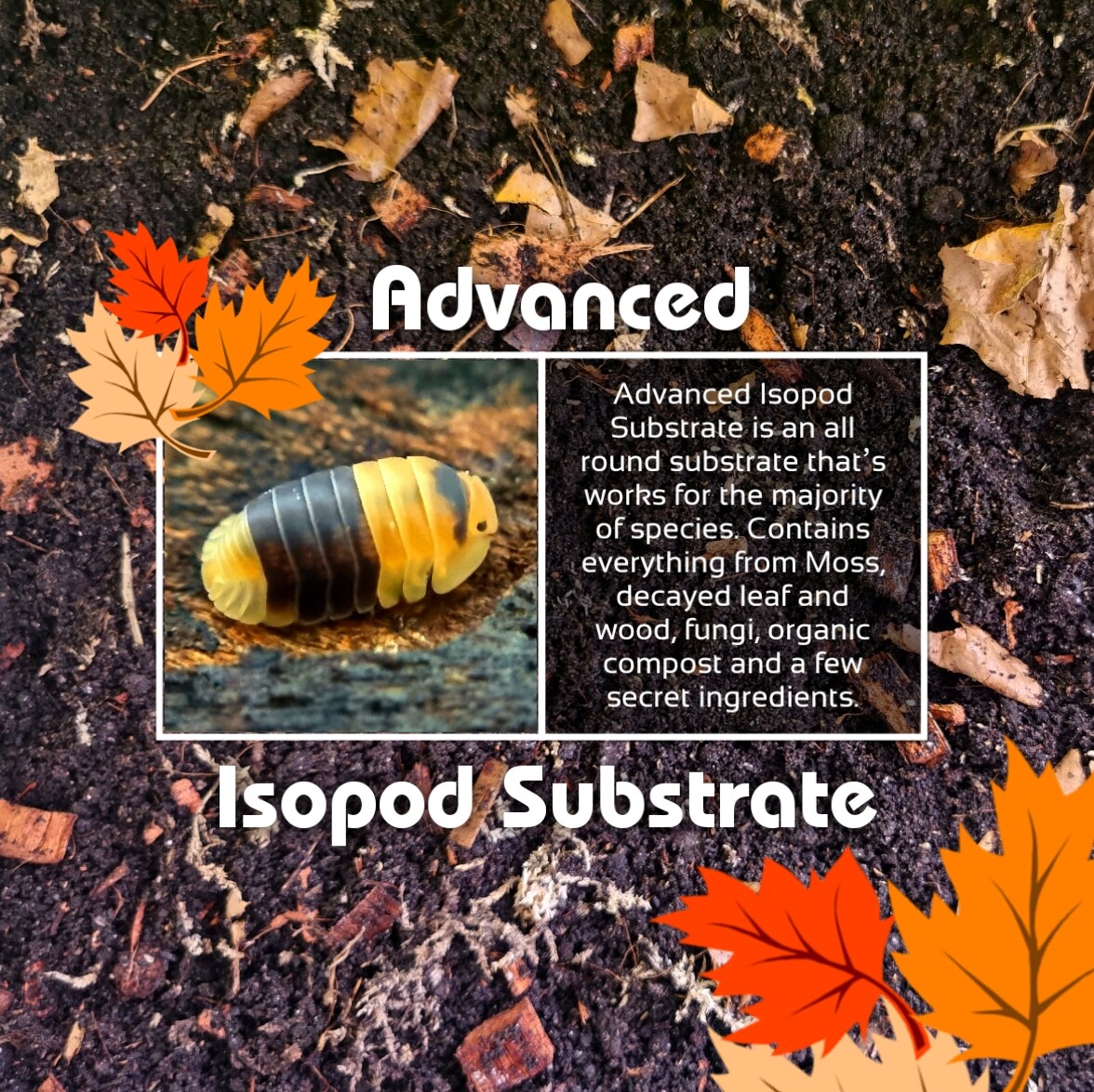 [Ready Stock] Advanced Isopod Mixed Substrate 500g & 1kg | Lazada