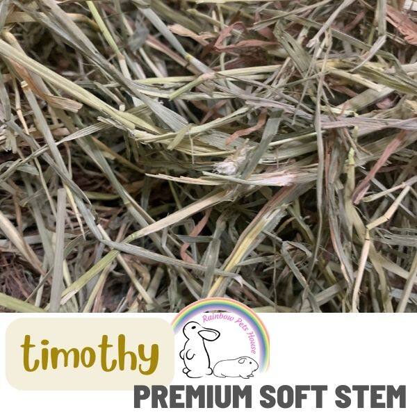 Soft Stem Timothy Hay 1kg | Lazada