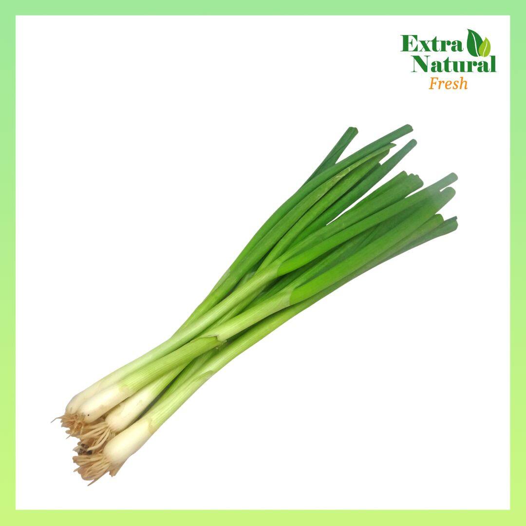 Fresh Spring Onion 1pkt (+/-100g) |Fresh Vege| [Extra Natural Fresh ...