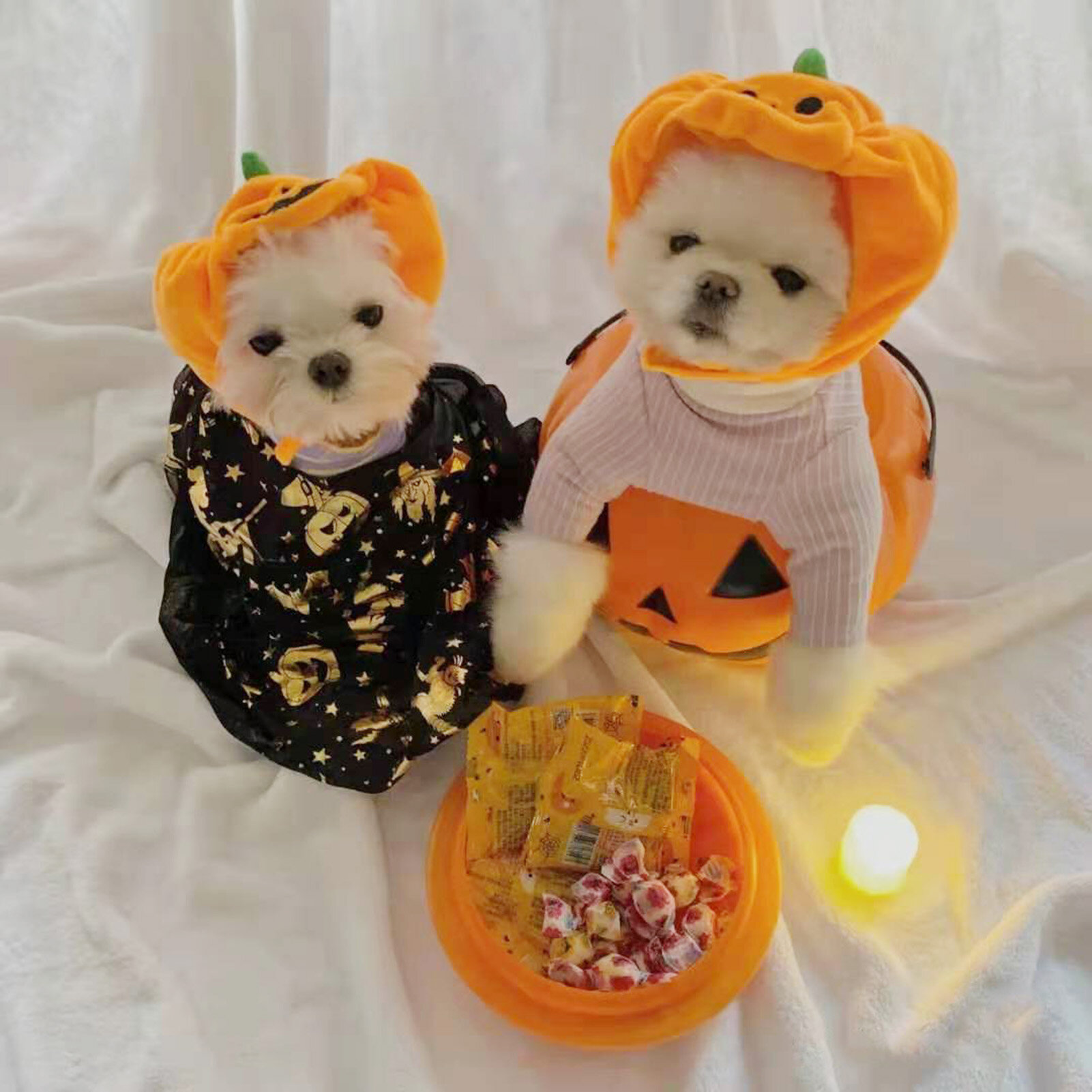 Pet Hat Pumpkin Pattern Dress-Up Skin Friendly Pet Dogs Pumpkin Cap For ...