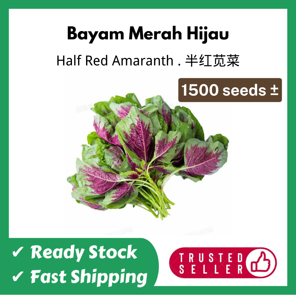 Vegetable Seeds / Biji Benih Sayur : Bayam Merah Hijau . Half Red ...