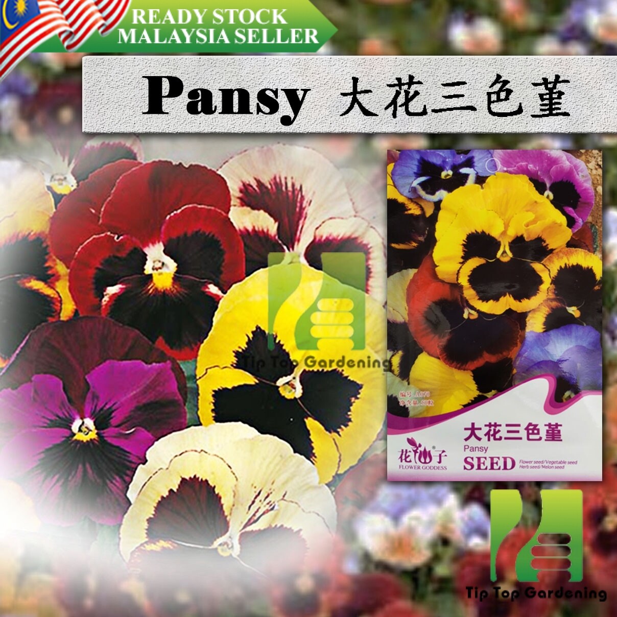 【EXPIRED】BIJI BENIH A070 PANSY FLOWER GODDESS VEGETABLE FLOWER FRUIT ...