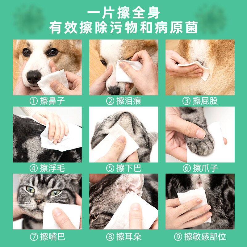 Do Dogs Wipe Their Bottoms