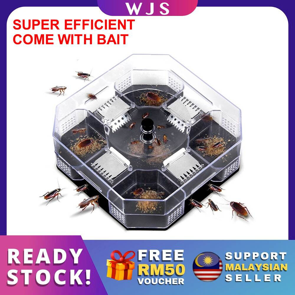 (SUPER EFFICIENT) WJS Reusable Cockroach Trap Box Lizard Trap Bait ...