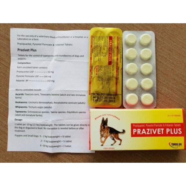 Prazivet Plus for Dog 1 tablet Deworm | Lazada