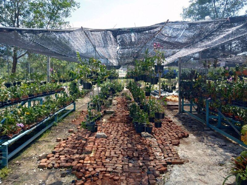 SIPUTOX - SNAIL KILLER / SNAIL REPELLENT(500gram) - Jinjin shop ...