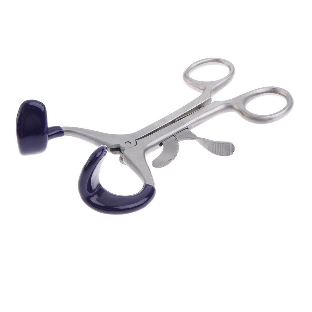LazaraToy 4.7 Small Molt Mouth Gag Dental Instruments Dental Retractor ...