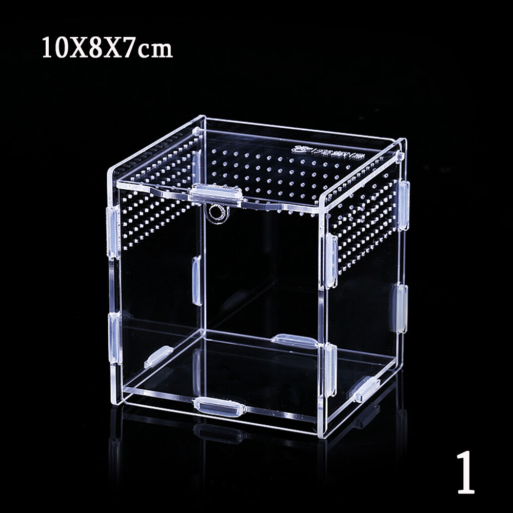 TIE70363 Reptile Spider Container Frogs Lizard Insect Feeding Box ...