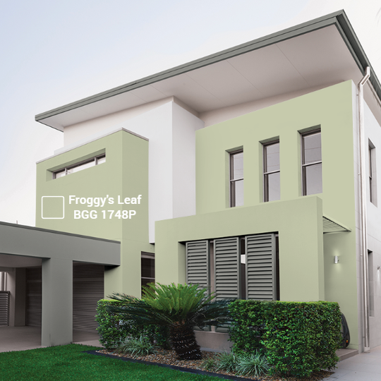 [miniHouse] NIPPON PAINT Exterior (1 Litre) Weatherbond/Q-Shield/Matex ...