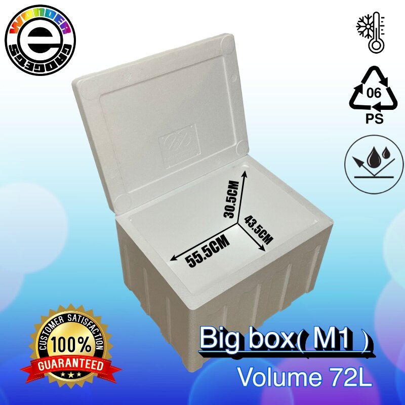 Styrofoam Cooler Box / Kotak Foam / 保丽龙冷冻箱 | Lazada