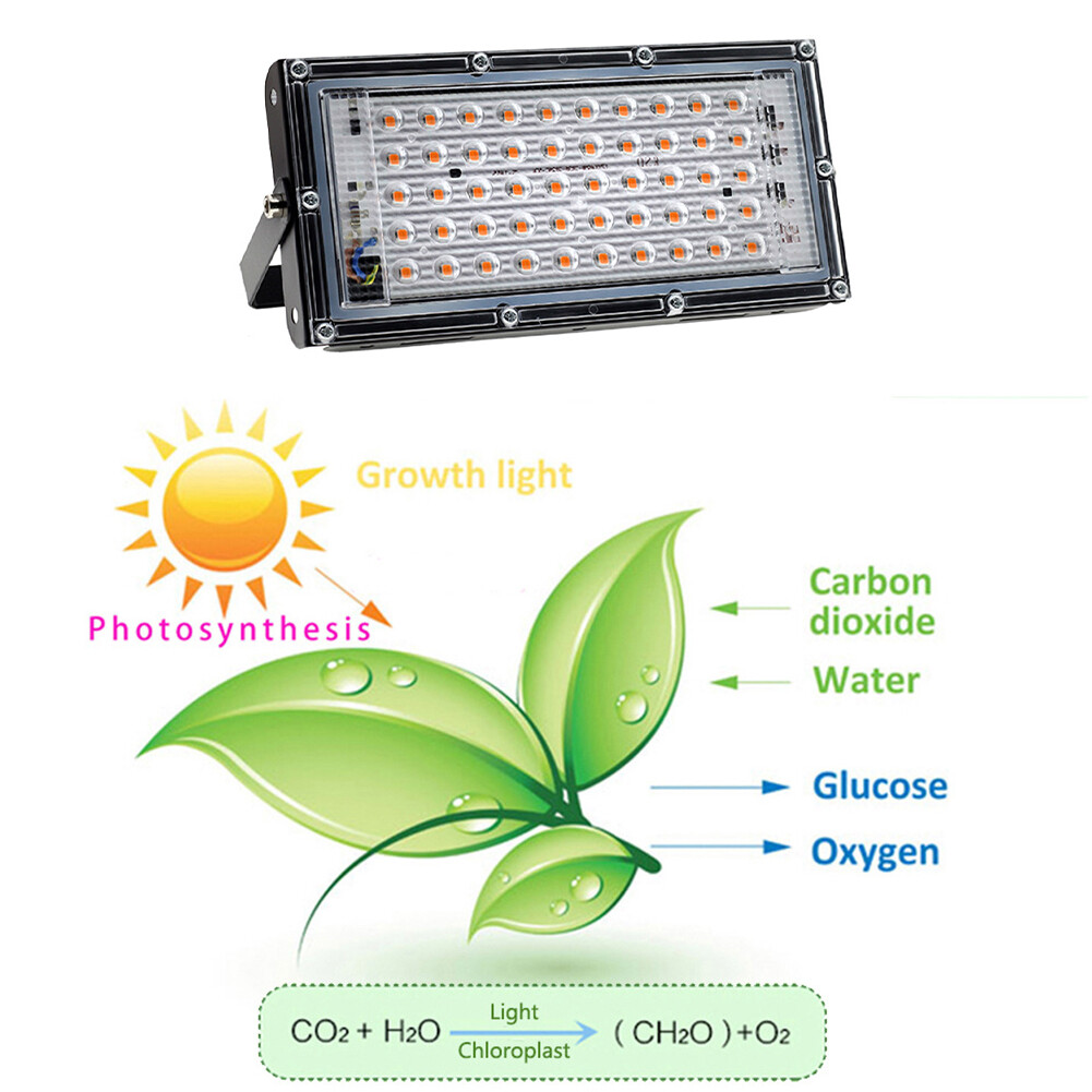 LED Grow Tree Light AC 220V 50W LED Plant Growing Lamps Tree Planting ...