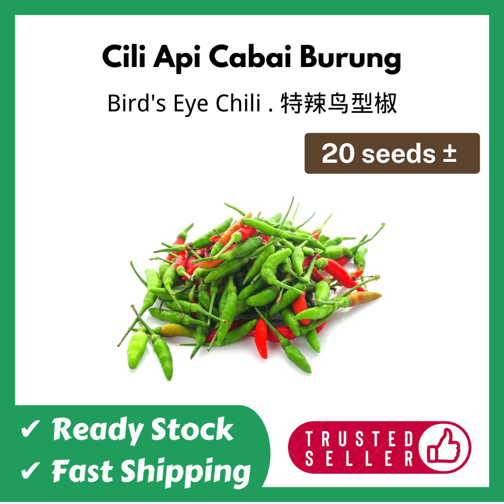 Vegetable Seeds / Biji Benih Sayur : Cili Api Cabai Burung . Bird's Eye ...