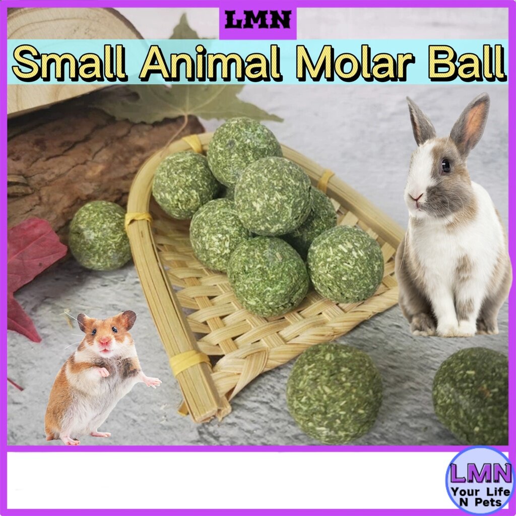 Rabbit Baked Treats Molar Ball Small Animal 小宠物 磨牙 草饼 球 零食 兔子 | Lazada