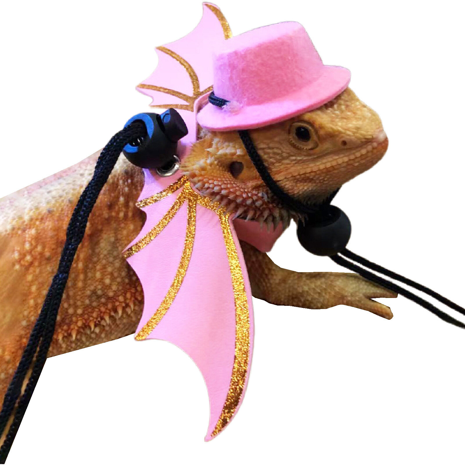 1 Set Bearded Dragon Harness with Hat Adjustable Traction Tool Bearded ...