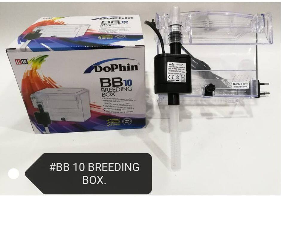 Dophin BB10 Breeding Box Pump Set Fish Aquarium | Lazada