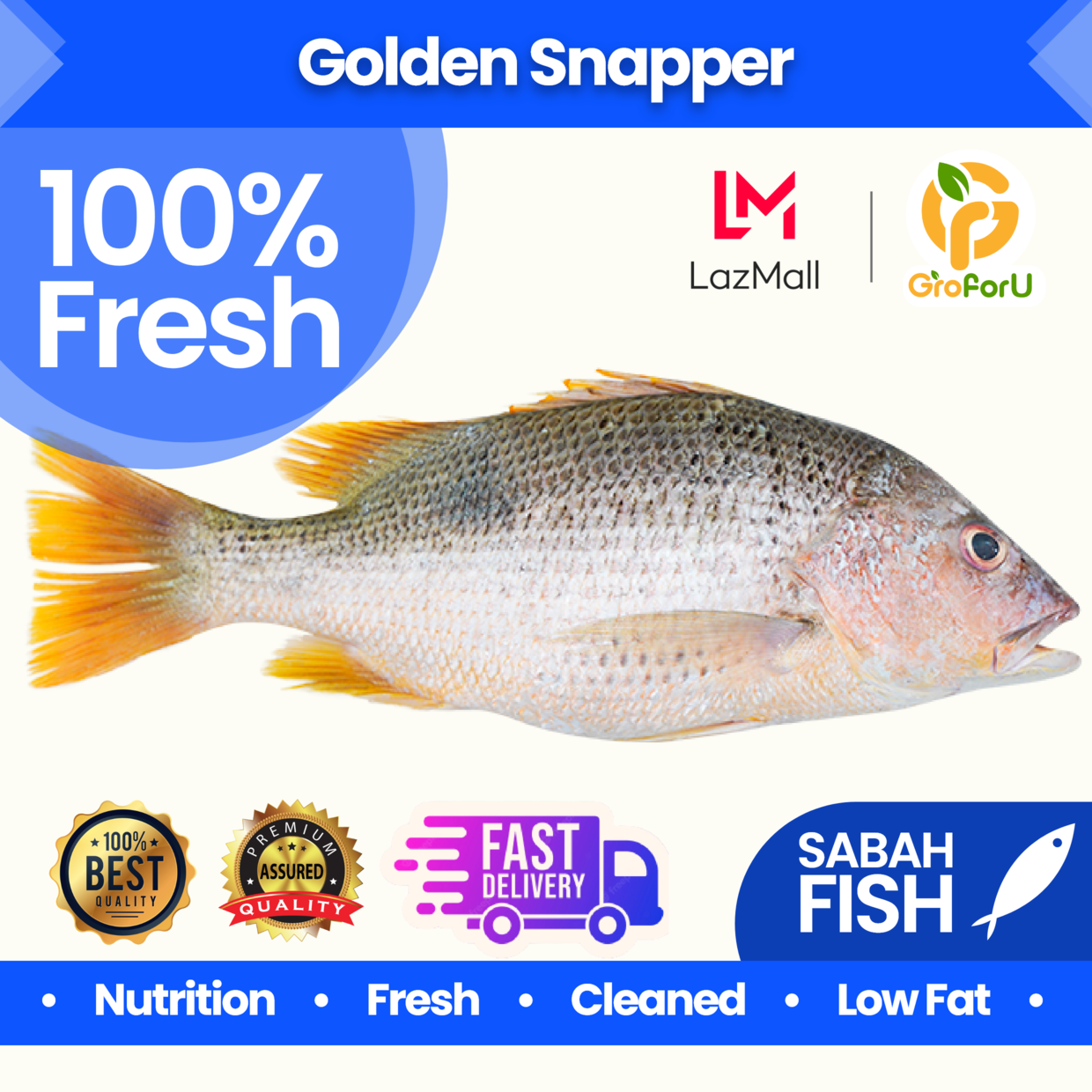 [GroForU] Whole Fish Sabah Wild Caught Golden Snapper | Lazada