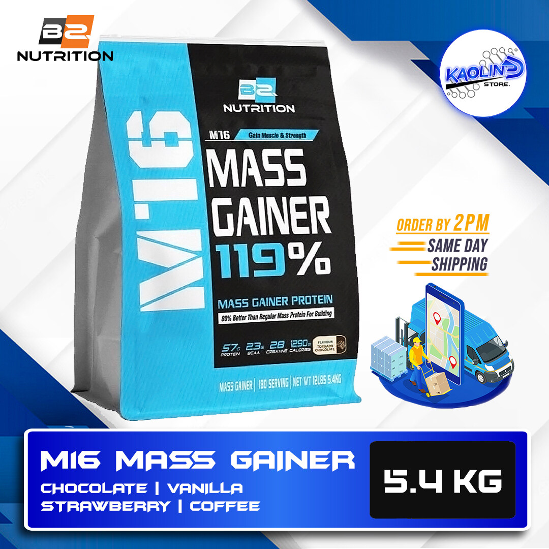 Bs Nutrition M16 Mass Gainer 54 Kg 180 Scoops Mass Protein Gainer