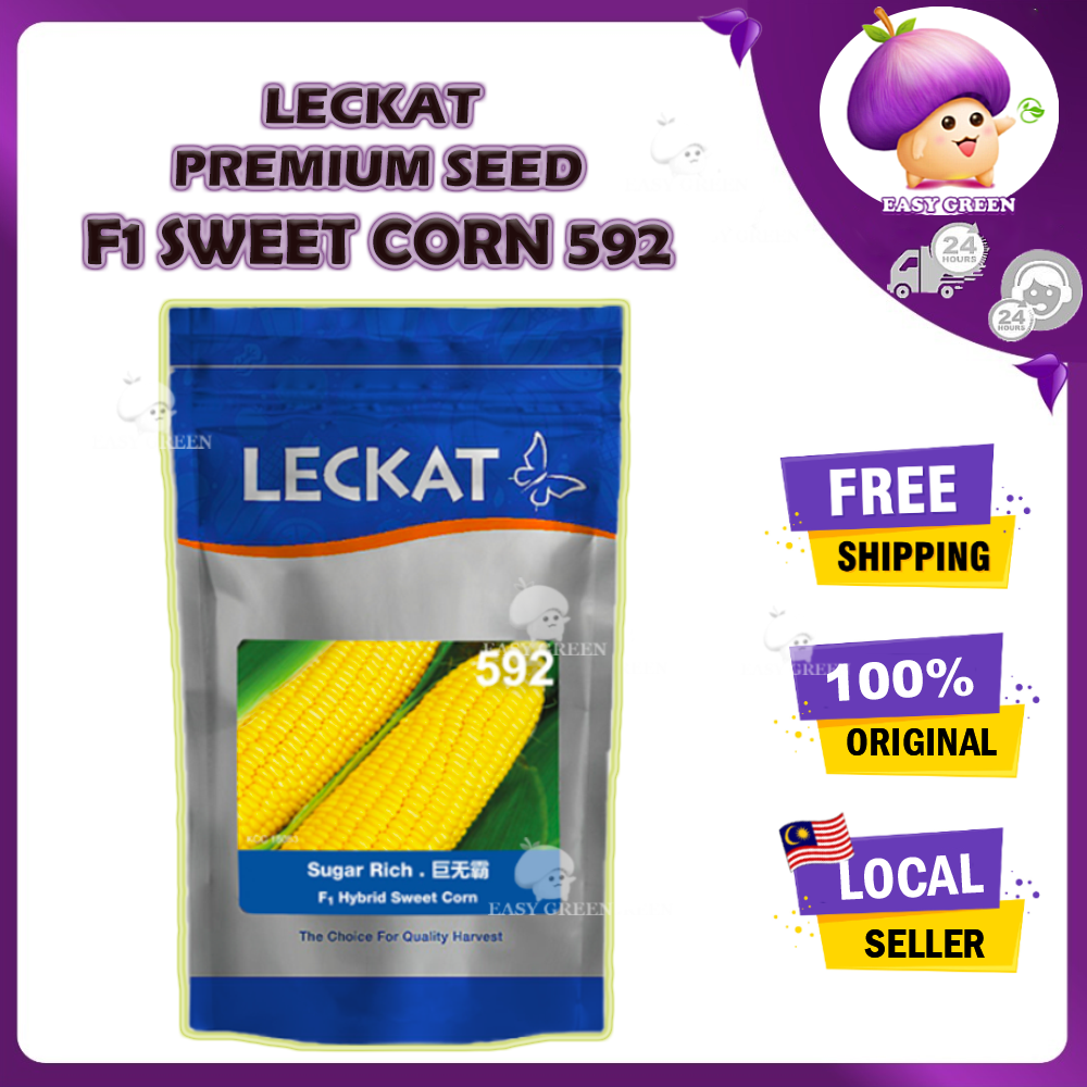 LECKAT/GWG 592 906 908 (200G/500G) JAGUNG MANIS SUGAR RICH/PACIFIC ...