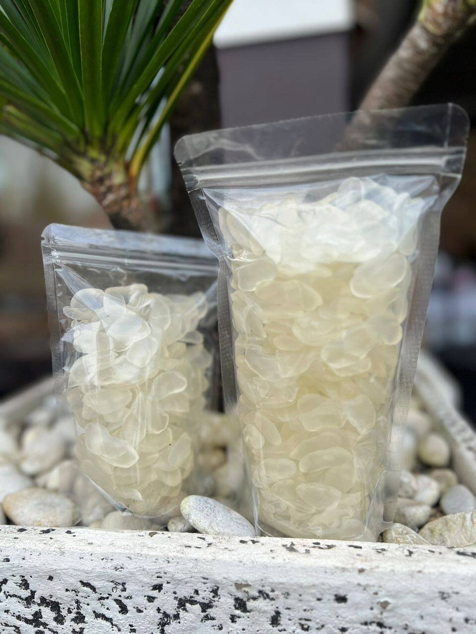 BUAH KABUNG KERING | DRIED ATTAP FRUIT | Lazada