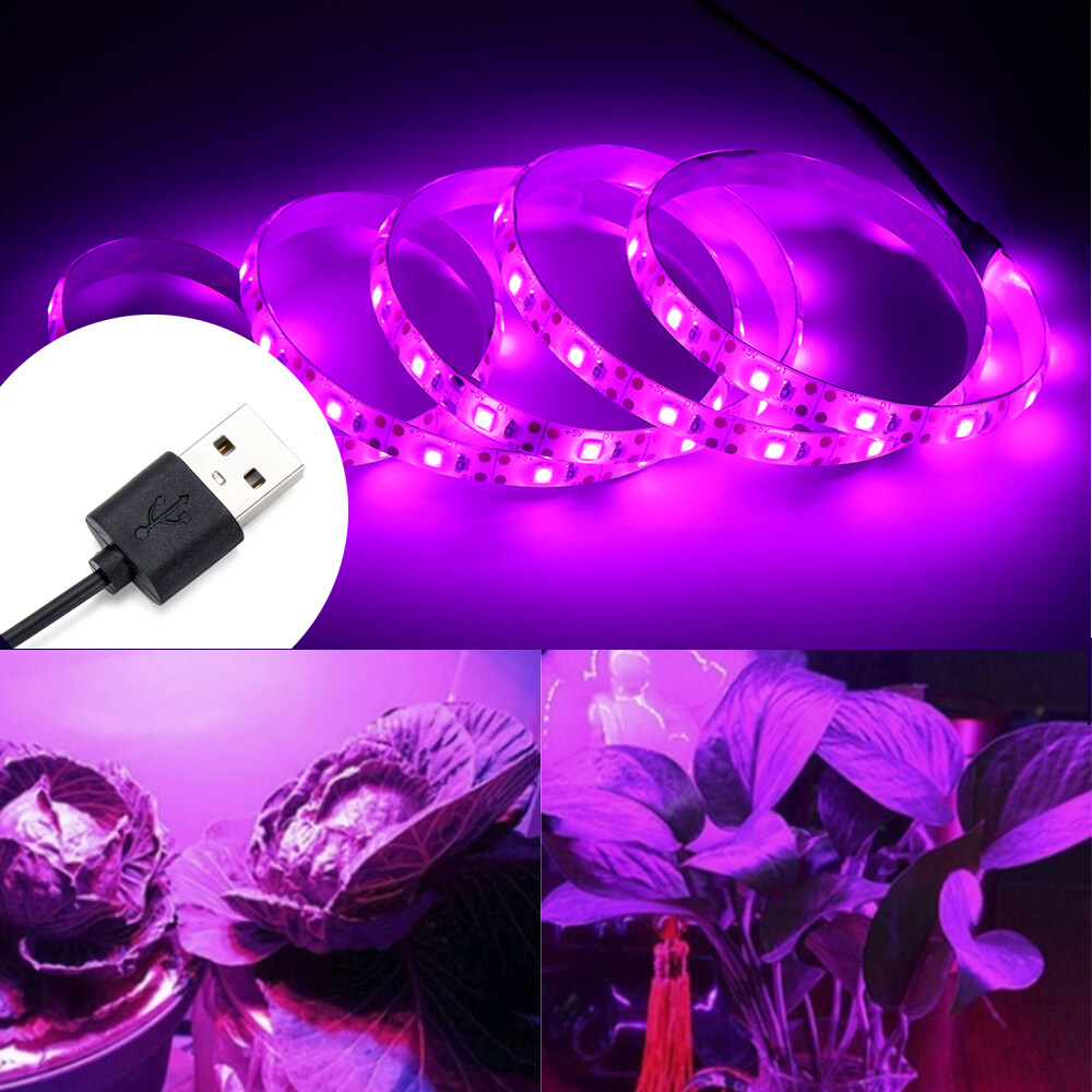 ALEXIS BAGS 0.5m 1m 1.5m 2m 3m 2835 For Greenhouse Hydroponic USB DC5V ...