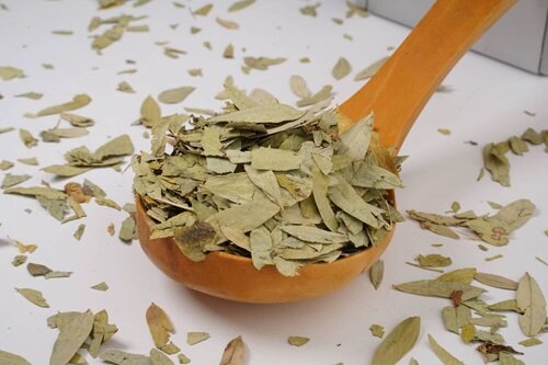 Daun Sanna / Daun Senna / Senna Leaf Tea 100gm | Lazada