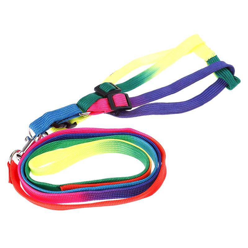 【SHZTGM】 Adjustable Rainbow style Nylon Rabbit Cat Dog collar lead ...