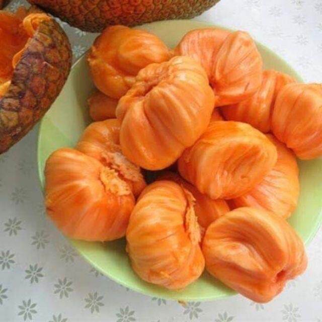 CEMPEDAK MADU ISI OREN(CH28),Pokok Kawin Cpt Berbuah | Lazada