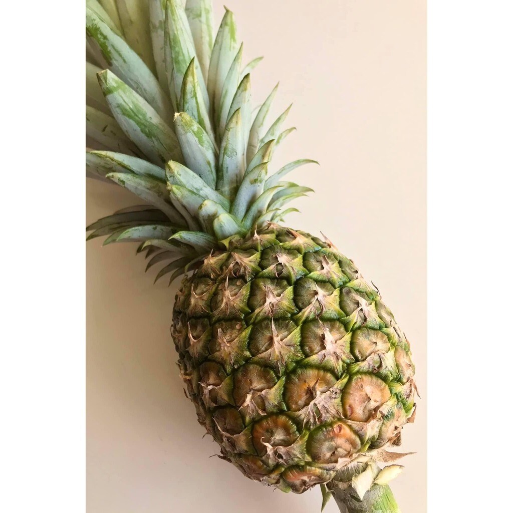 Nenas Sweetpine MD2/Yankee Fresh Pineapple Kuantan. 4 pcs 6kg | Lazada