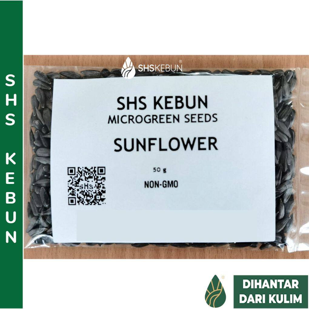 Sunflower Microgreen Sprouts Non-GMO Seeds 50g/100g Biji Benih ...