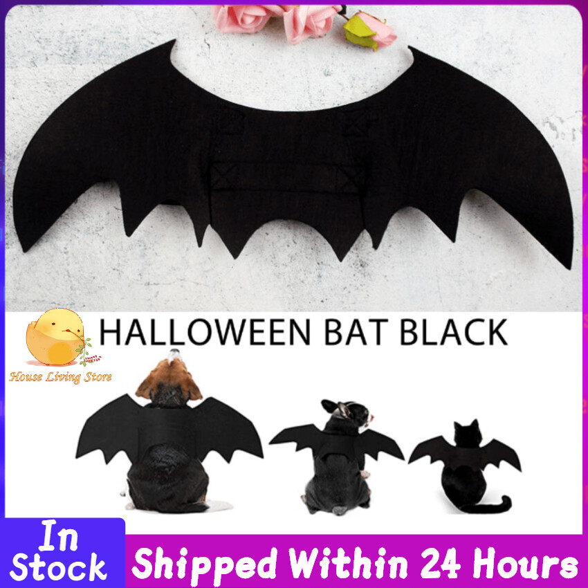 Pet Cat Bat Wings Halloween Party Decoration, Puppy Collar Guide ...