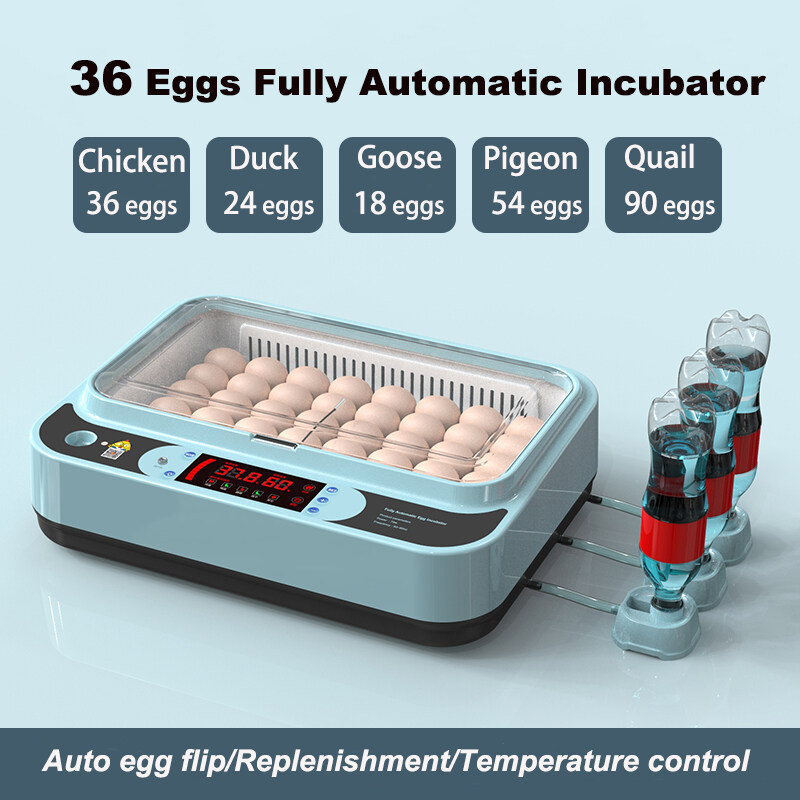 【Local delivery】Fully Automatic Incubator 15/24/36/64 Eggs Smart ...