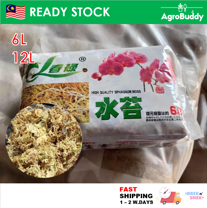 AgroBuddy High Quality Sphagnum Moss Phalaenopsis Orchid Bonsai ...