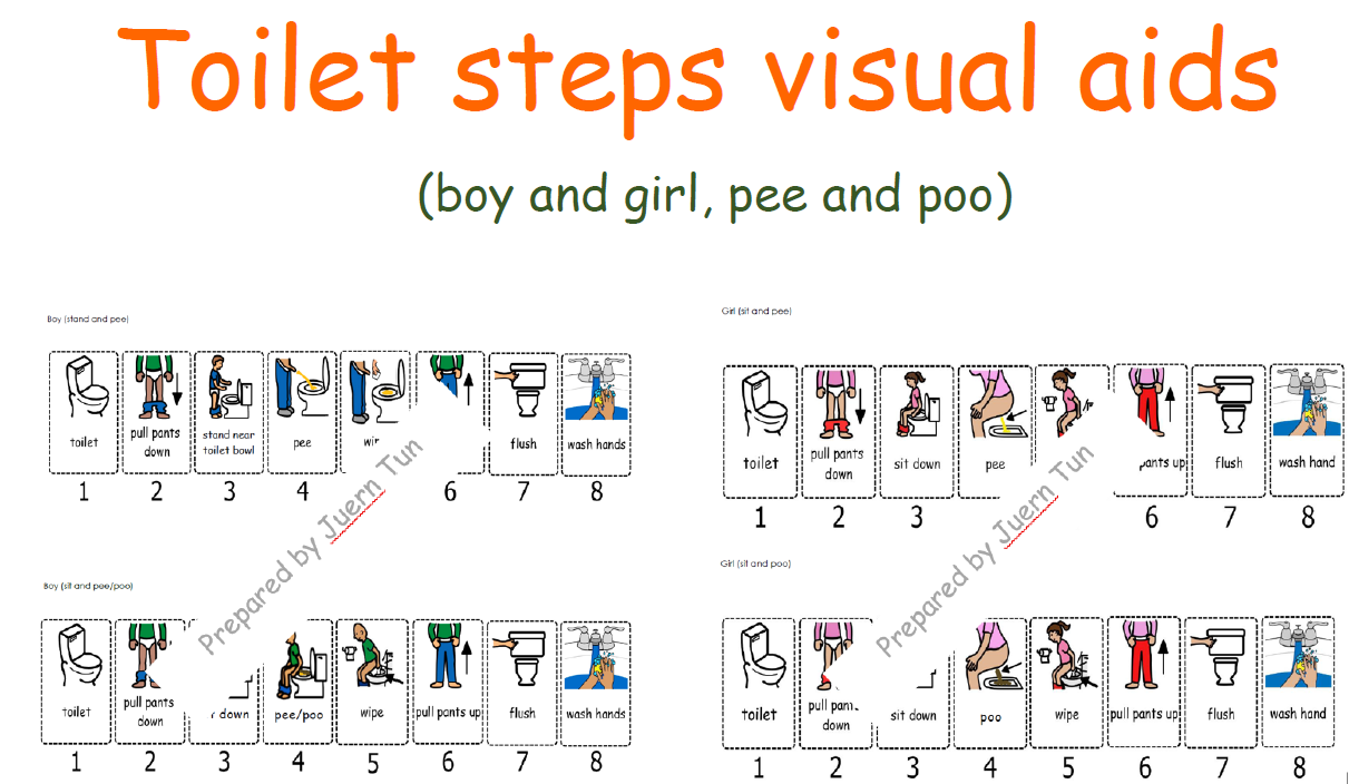V001- Toilet Training Visual Aids PDF Version (boy & girl, pee & poo ...