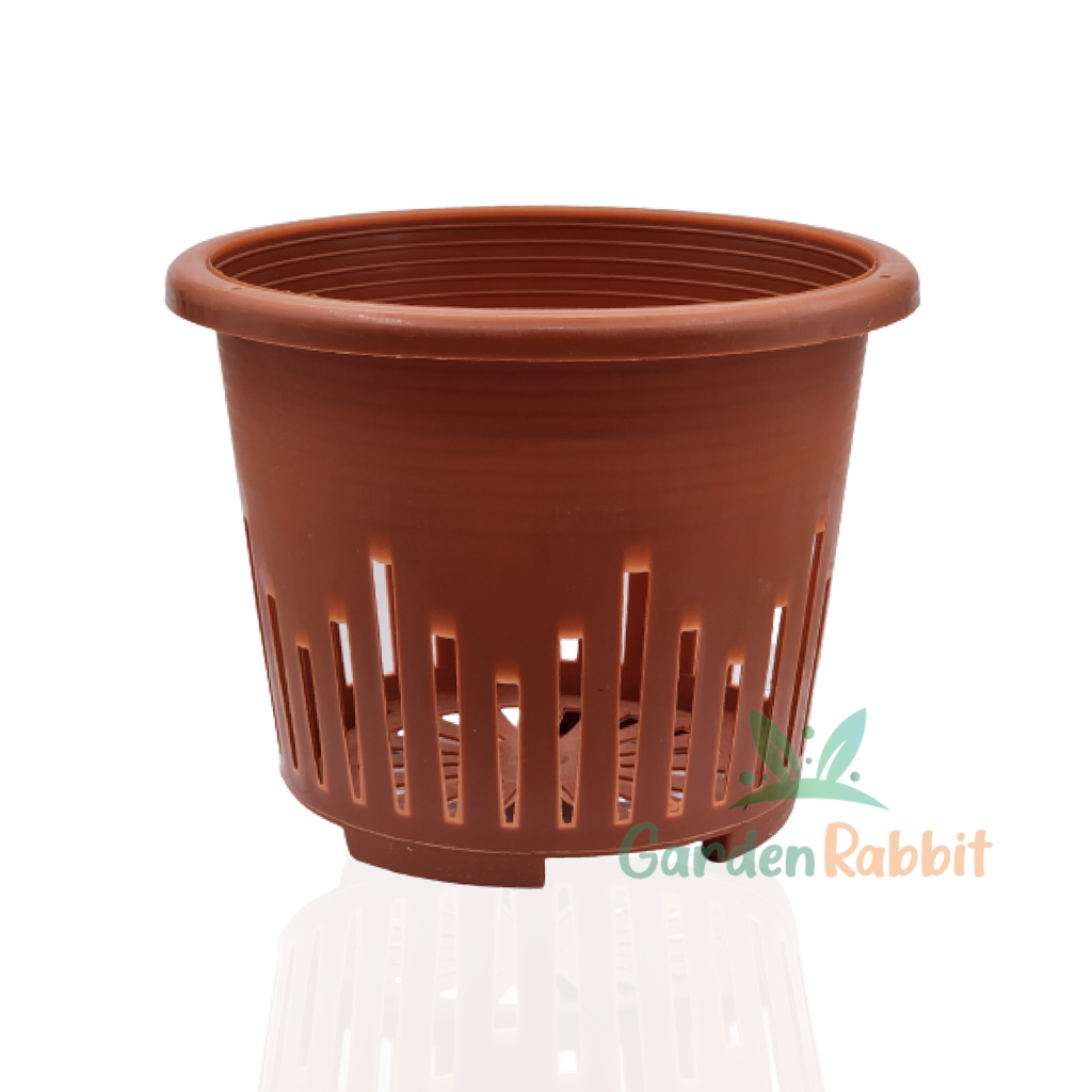 Orchid Plastic Flower Pot Pasu Bunga Okid Gafri 蝴蝶兰花盆 | Lazada