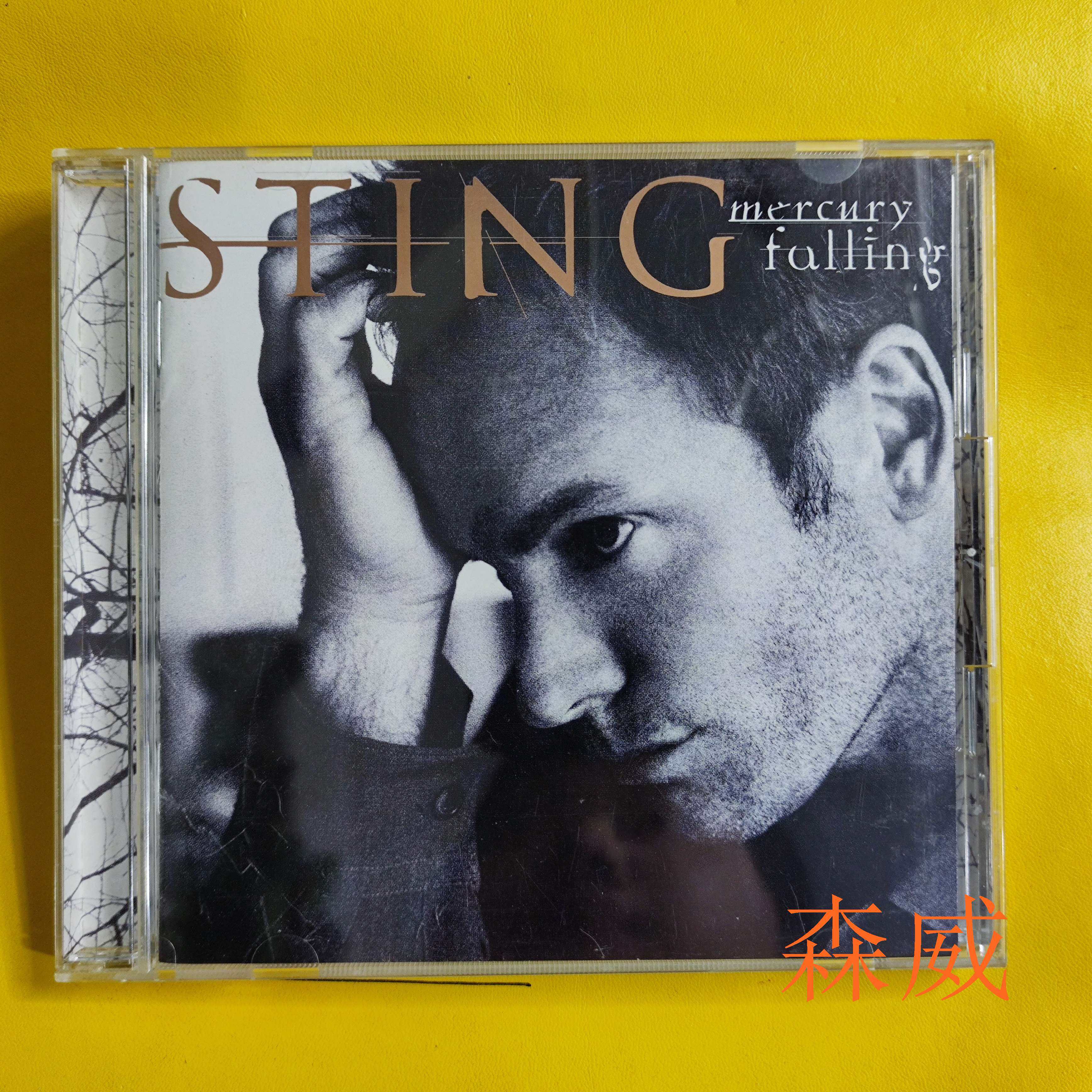 Sting ﹣ mercury falling | Lazada PH