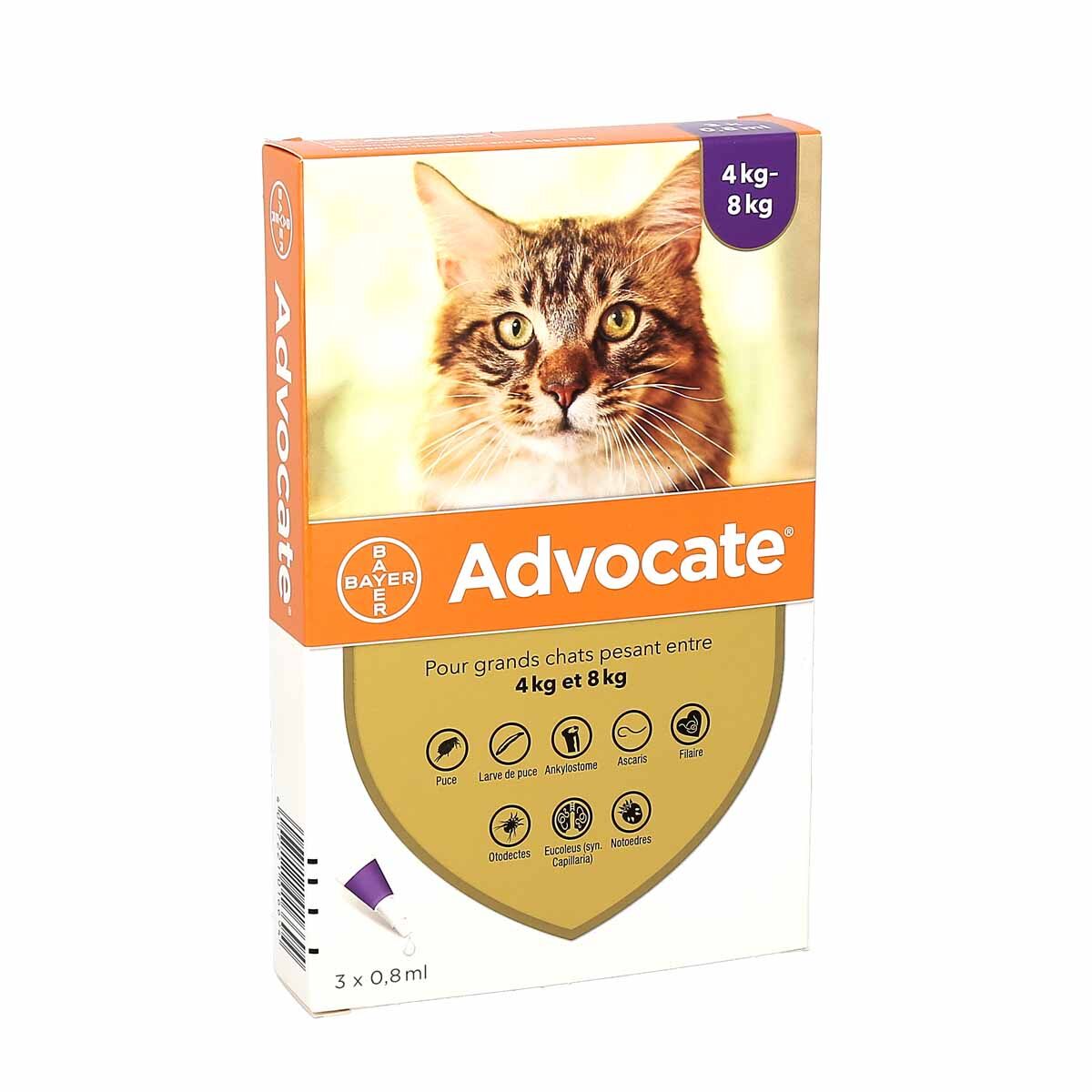 Elanco Advocate Cat (1-4kg and 4-8kg) - Lazada | Lazada