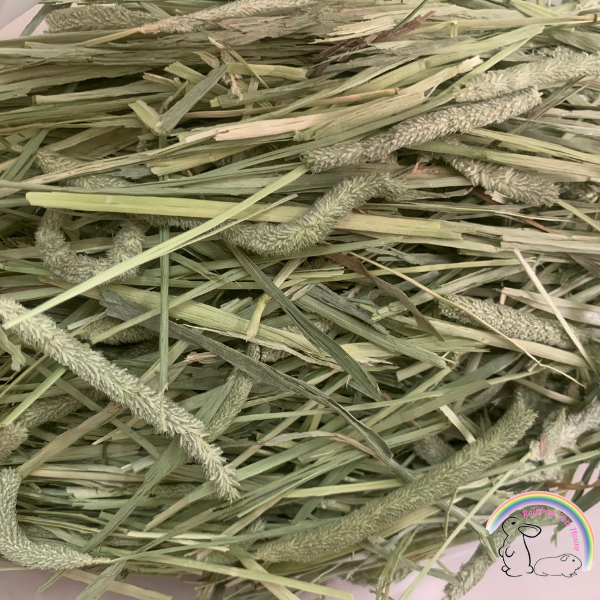 FIRST CUT Timothy Hay From US 1kg | Lazada