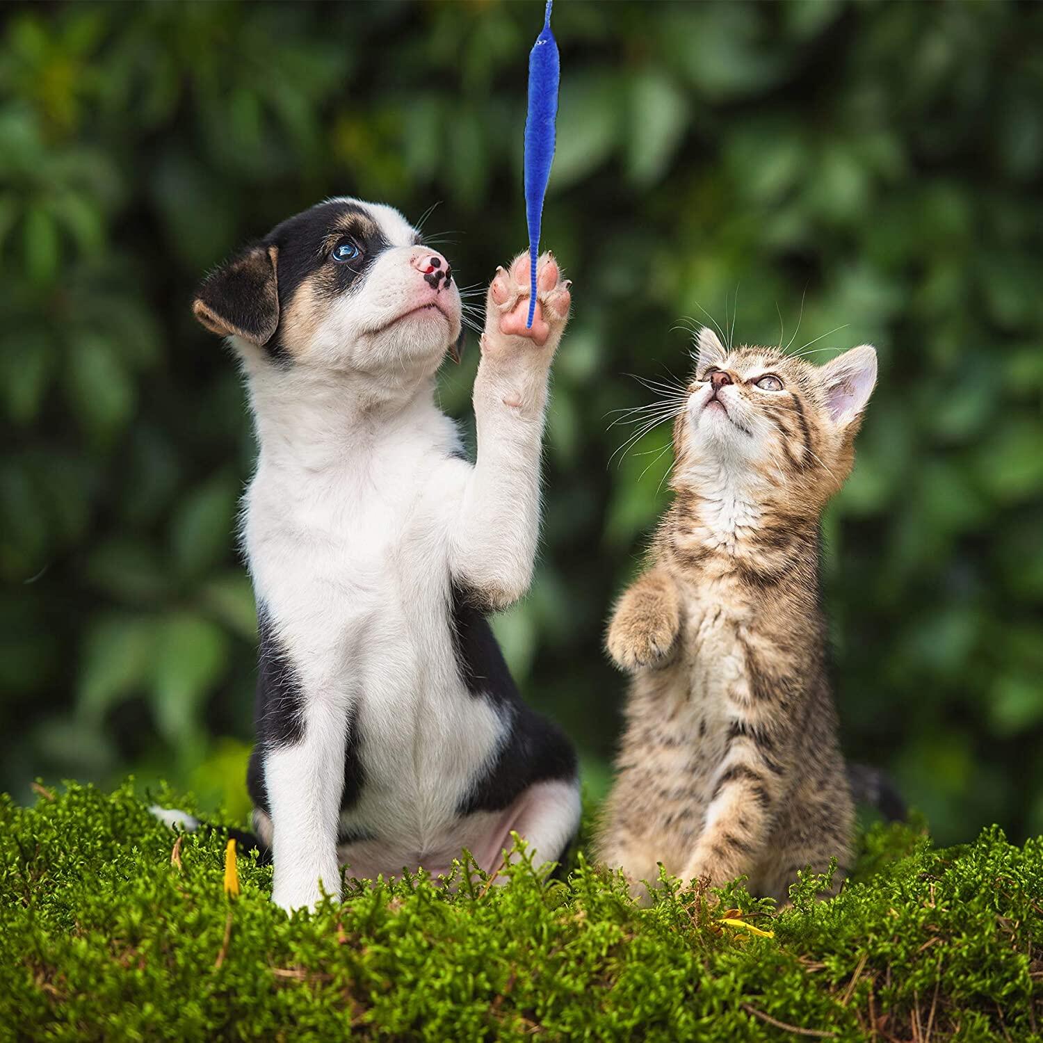 6/12 Pcs Magic Worm Kit ของเล่นแมว Wiggly Fuzzy Worms พร้อม Invisible ...