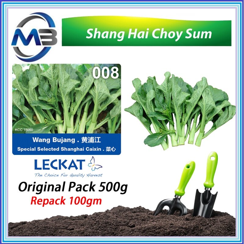 Sawi Hong Kong seeds choy sum Hong Kong 500g and Repack 100g 香港菜心种子 ...