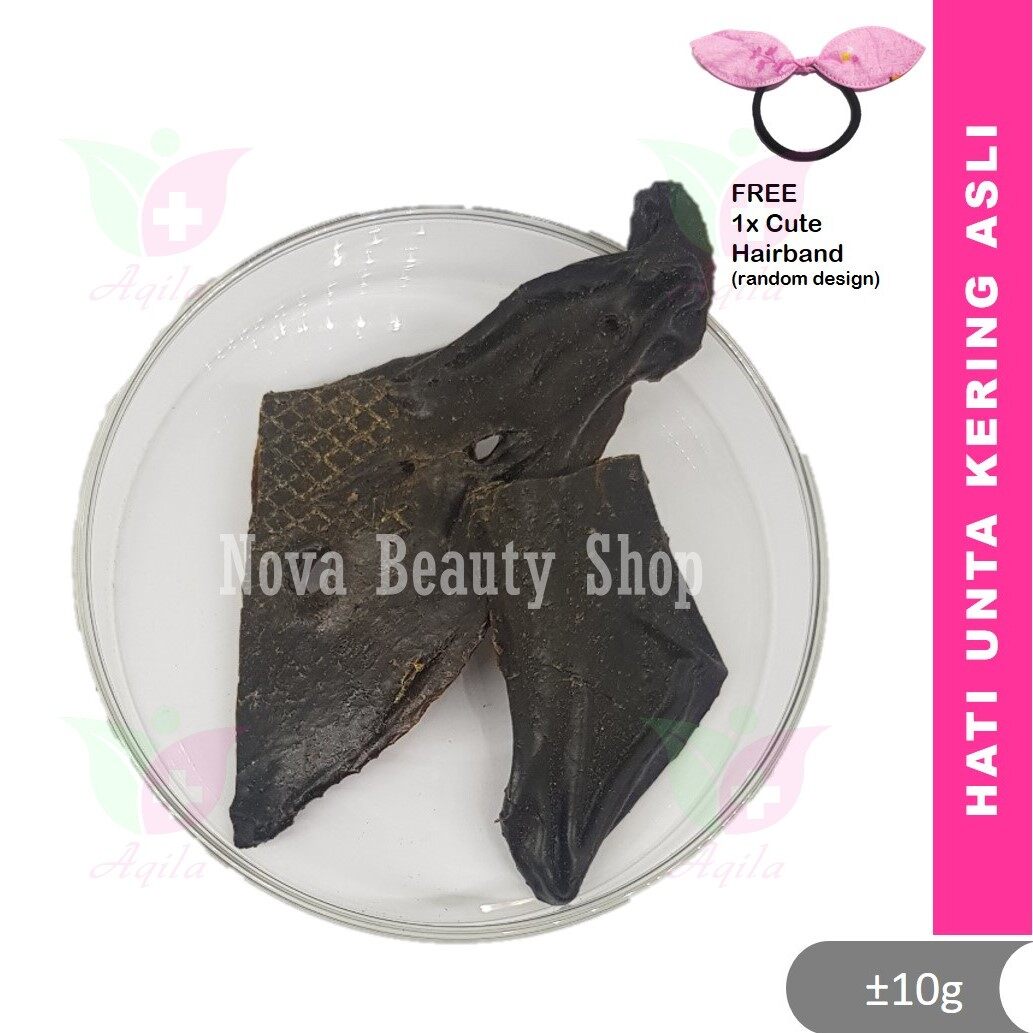 Hati Unta Kering Asli dari Arab Saudi (5g/10g/15g) Asthma Sesak Nafas ...