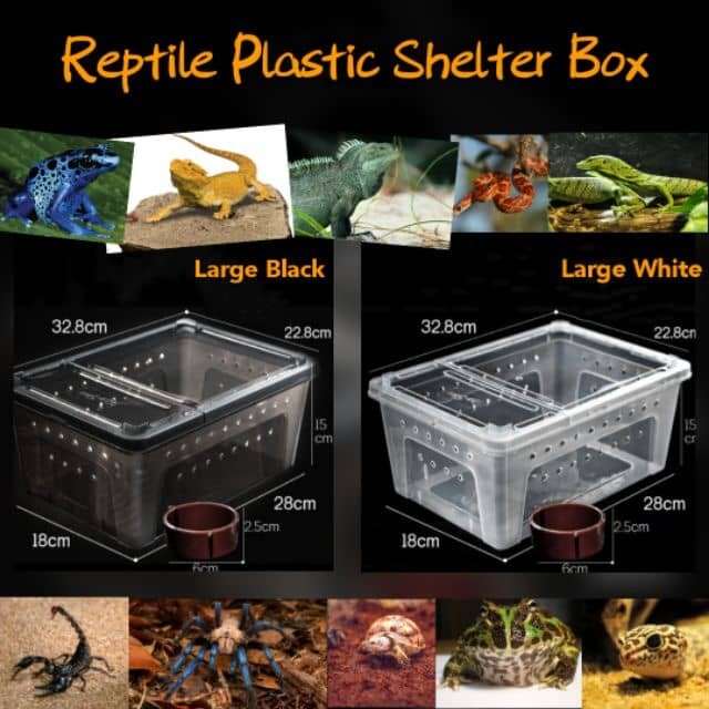 LARGE reptile box plastic shelter box Breeding Box Shelter Insects Horn ...