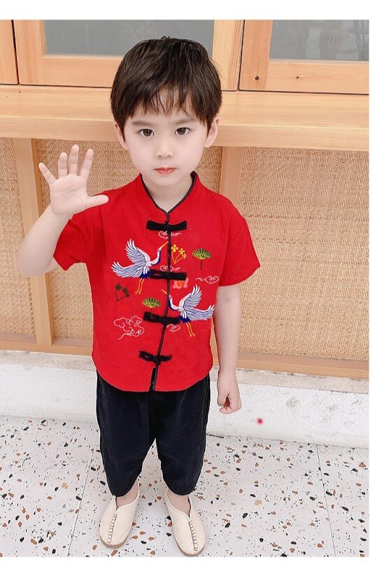 TOYSSAFARI Boys Girls Hanfu Traditional CNY Chinese Costume Embroidered ...