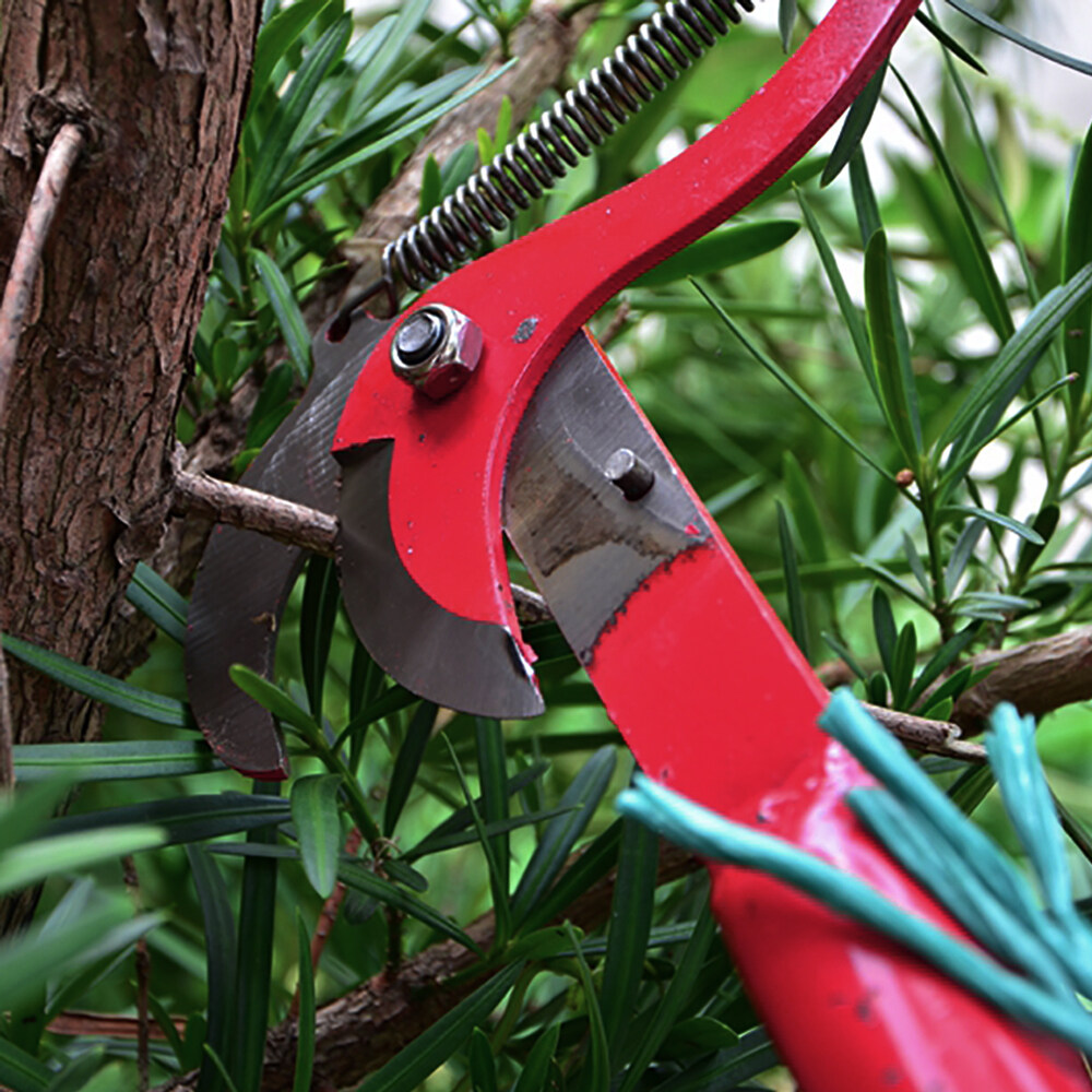 【HOT】High Altitude Pruning Shears Tree Trimmer Branches Cutter Garden ...