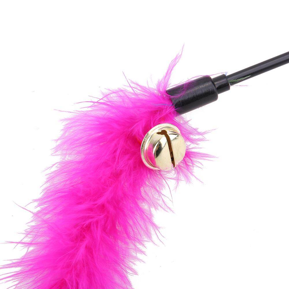 welcomehome5 ชิ้นแมวแมว Teaser สัตว์เลี้ยงตุรกี Feather Interactive ของ ...