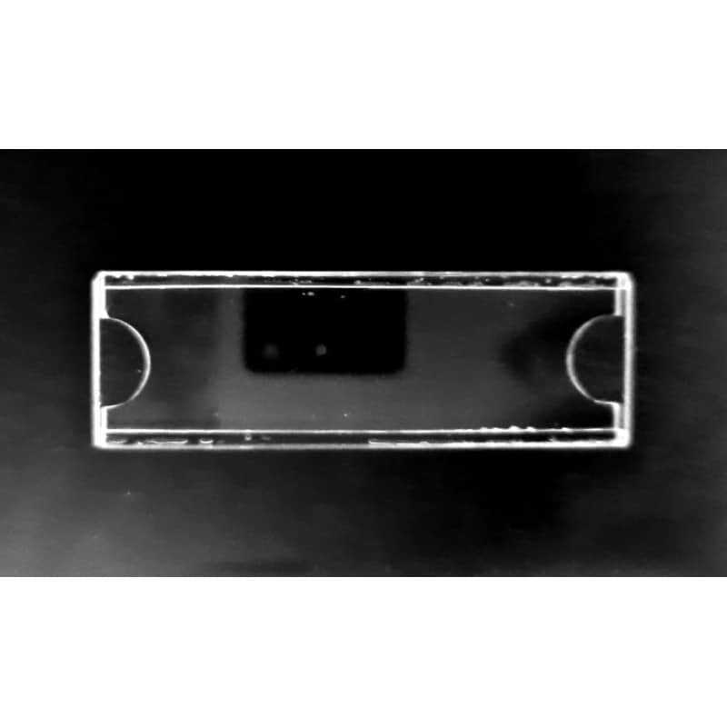 Organisation Chart Gambar Dan Tag Nama Slot / Acrylic Passport Photo ...